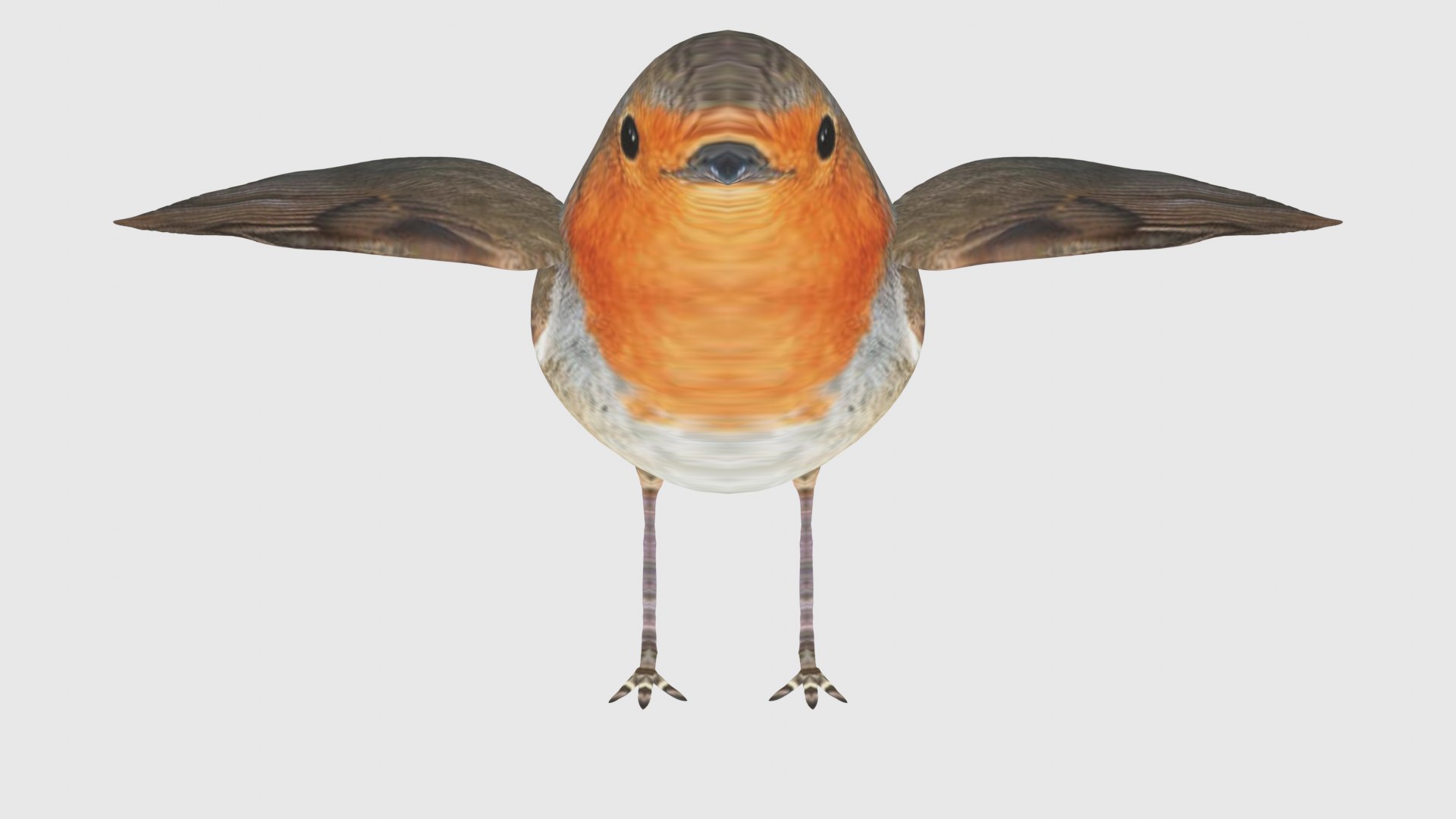 Low Poly Robin Rigged With Realistic Texture 3D - TurboSquid 1875999