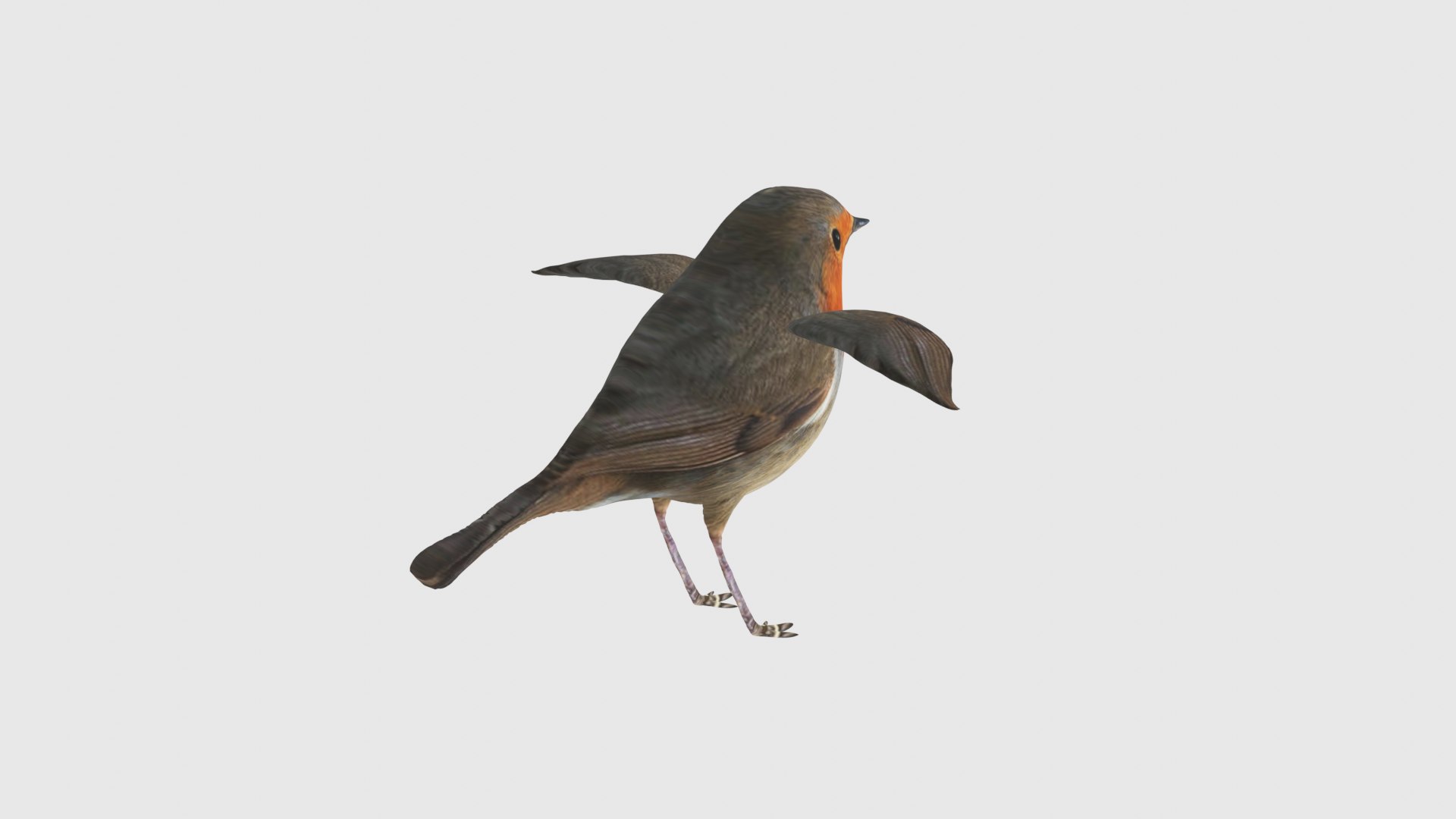 Low Poly Robin Rigged With Realistic Texture 3D - TurboSquid 1875999
