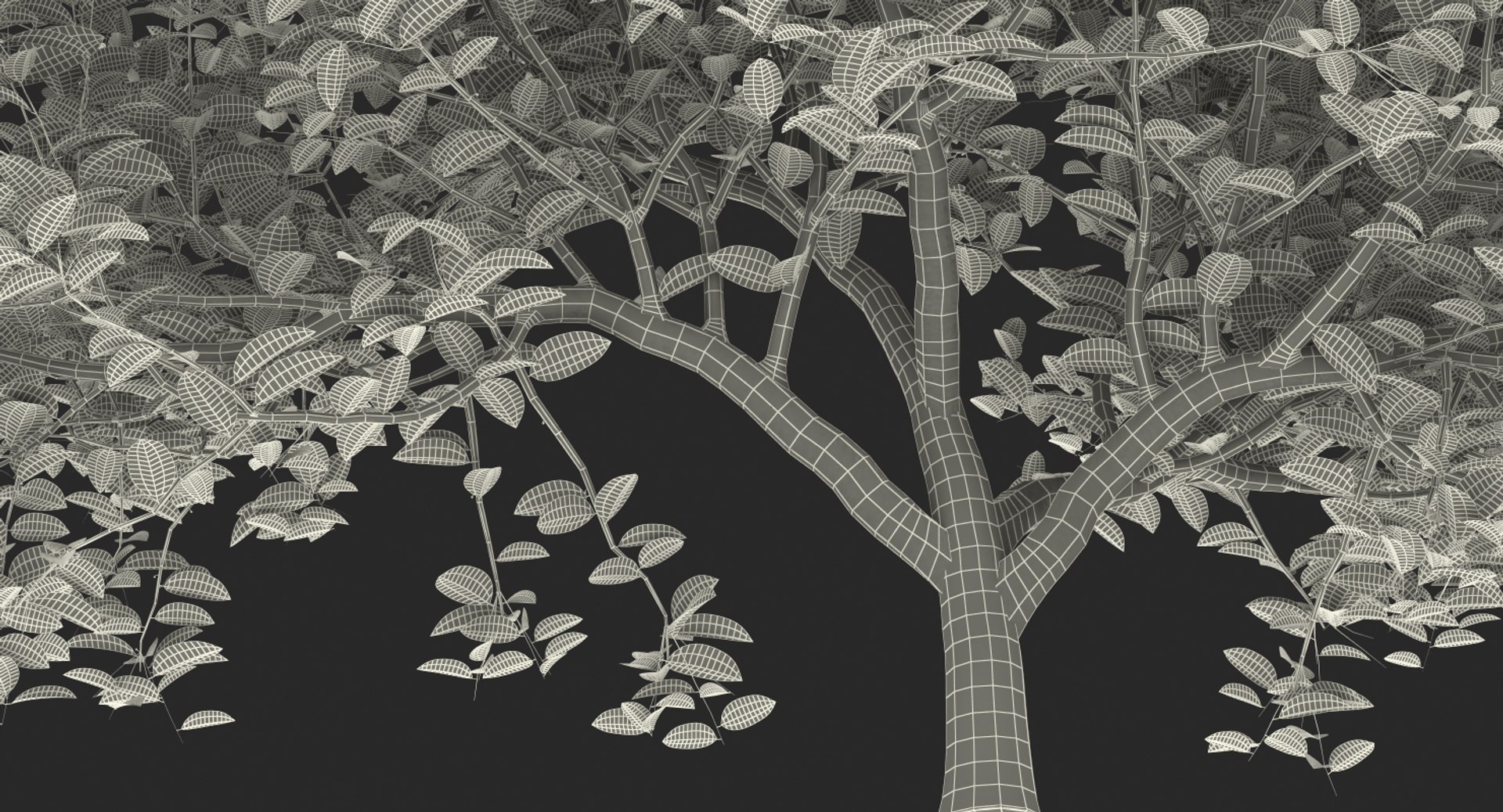 3D small evergreen tree green - TurboSquid 1377239