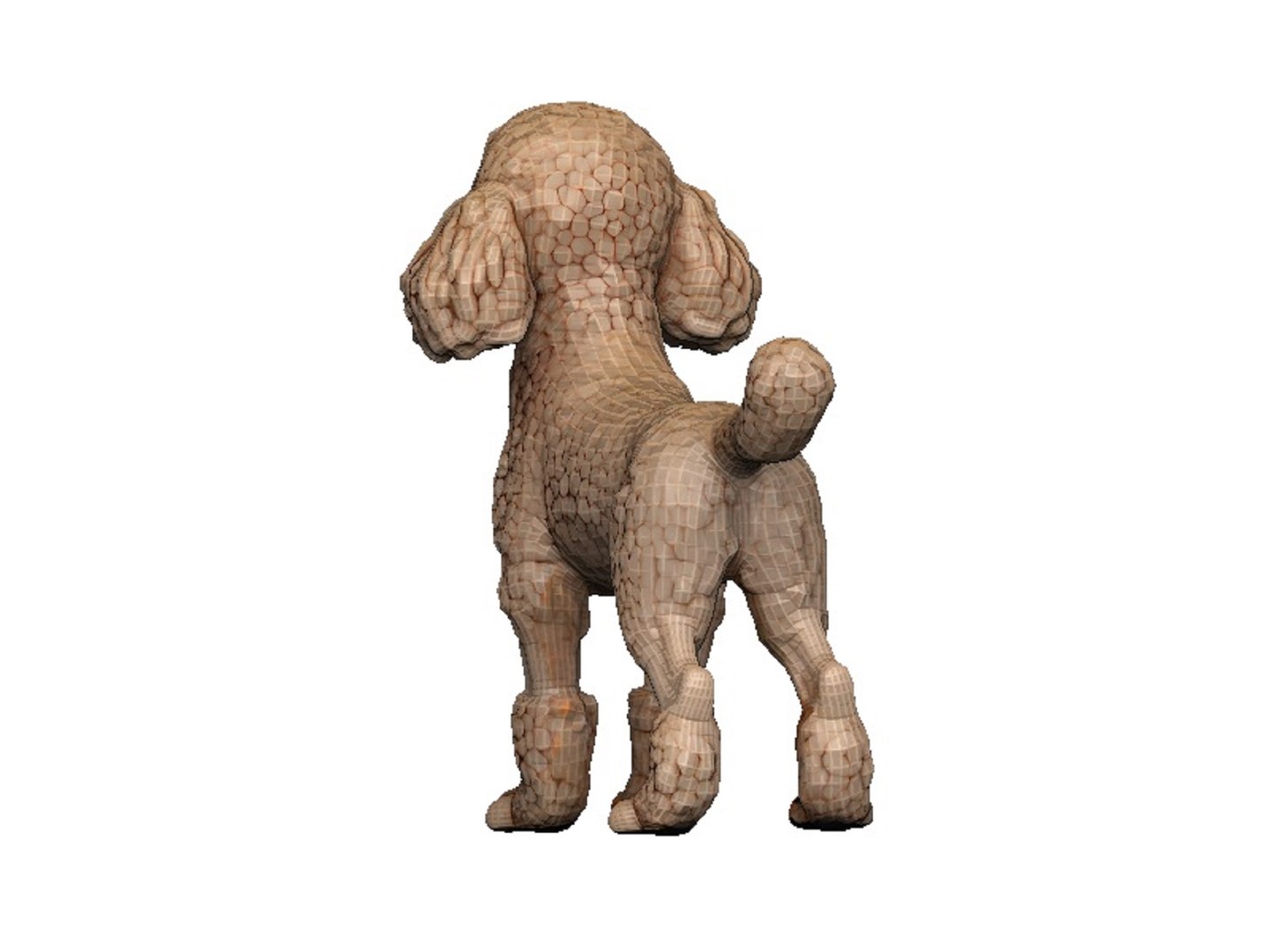 3D Poodle - TurboSquid 2435225