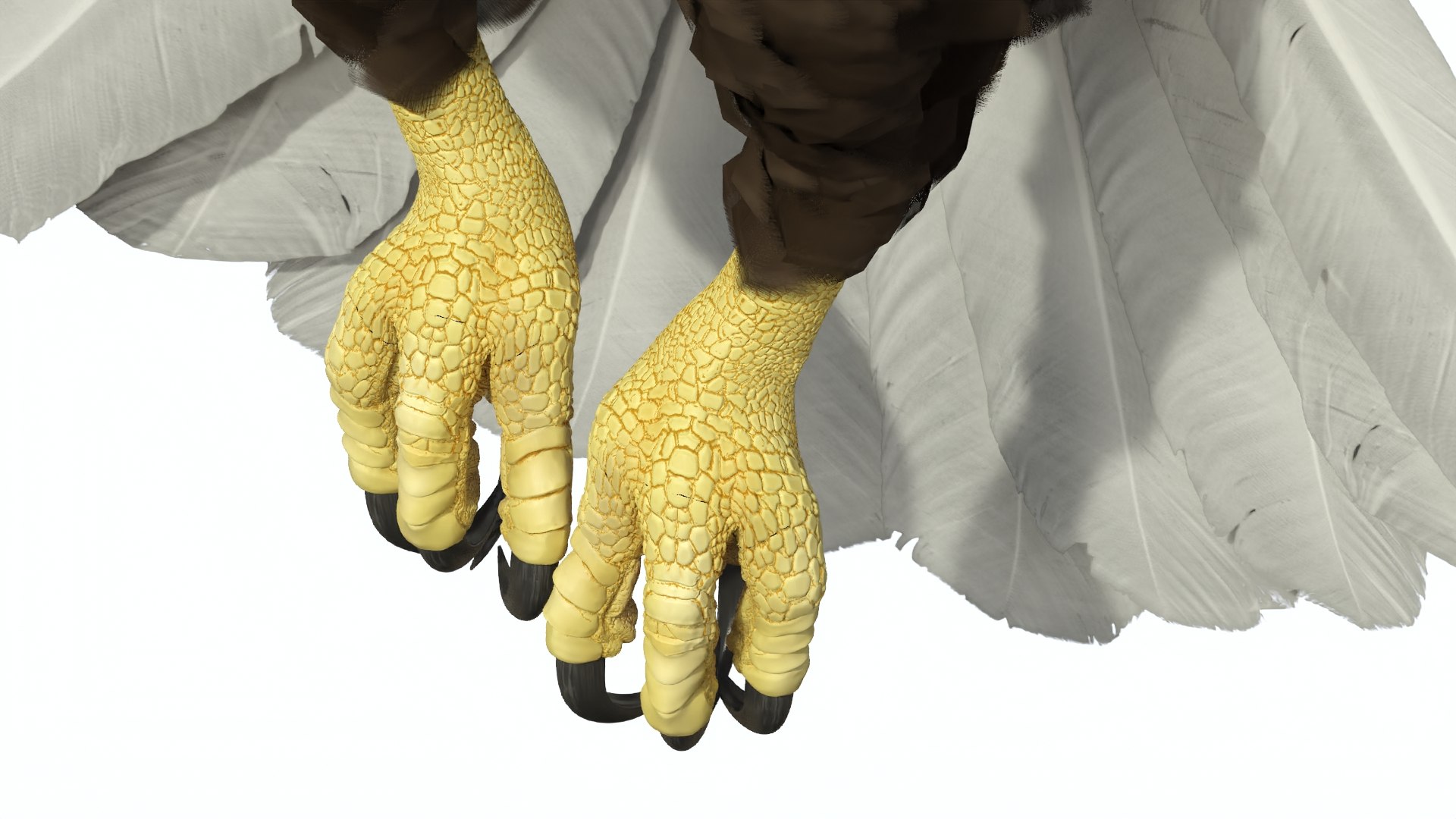 3D Realistic Bald Eagle Rigged Model - TurboSquid 2261113