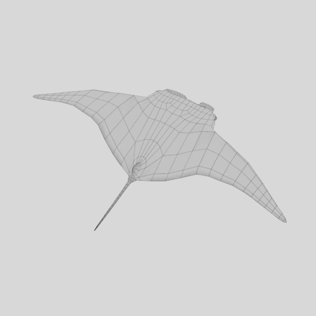 Manta Animation 3d Blend
