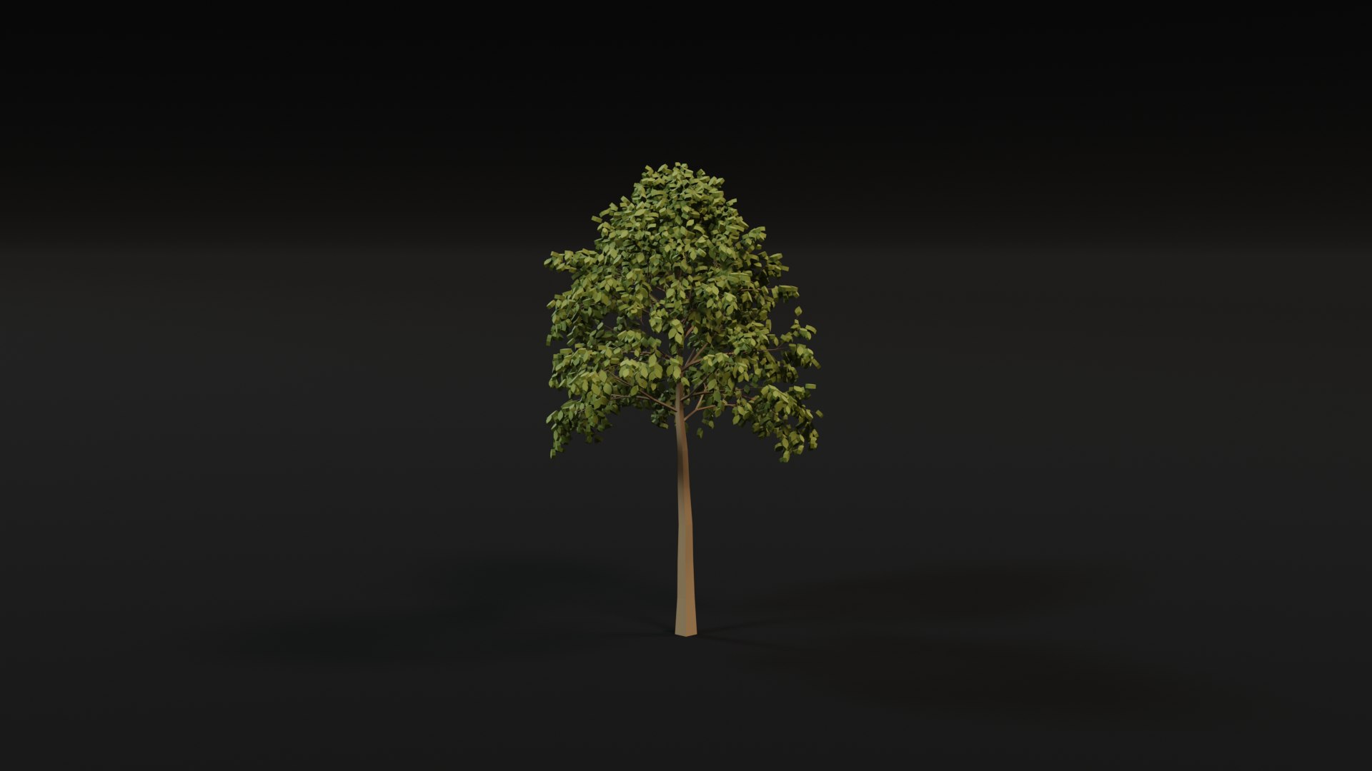 Polygon Trees 3D model - TurboSquid 2094066