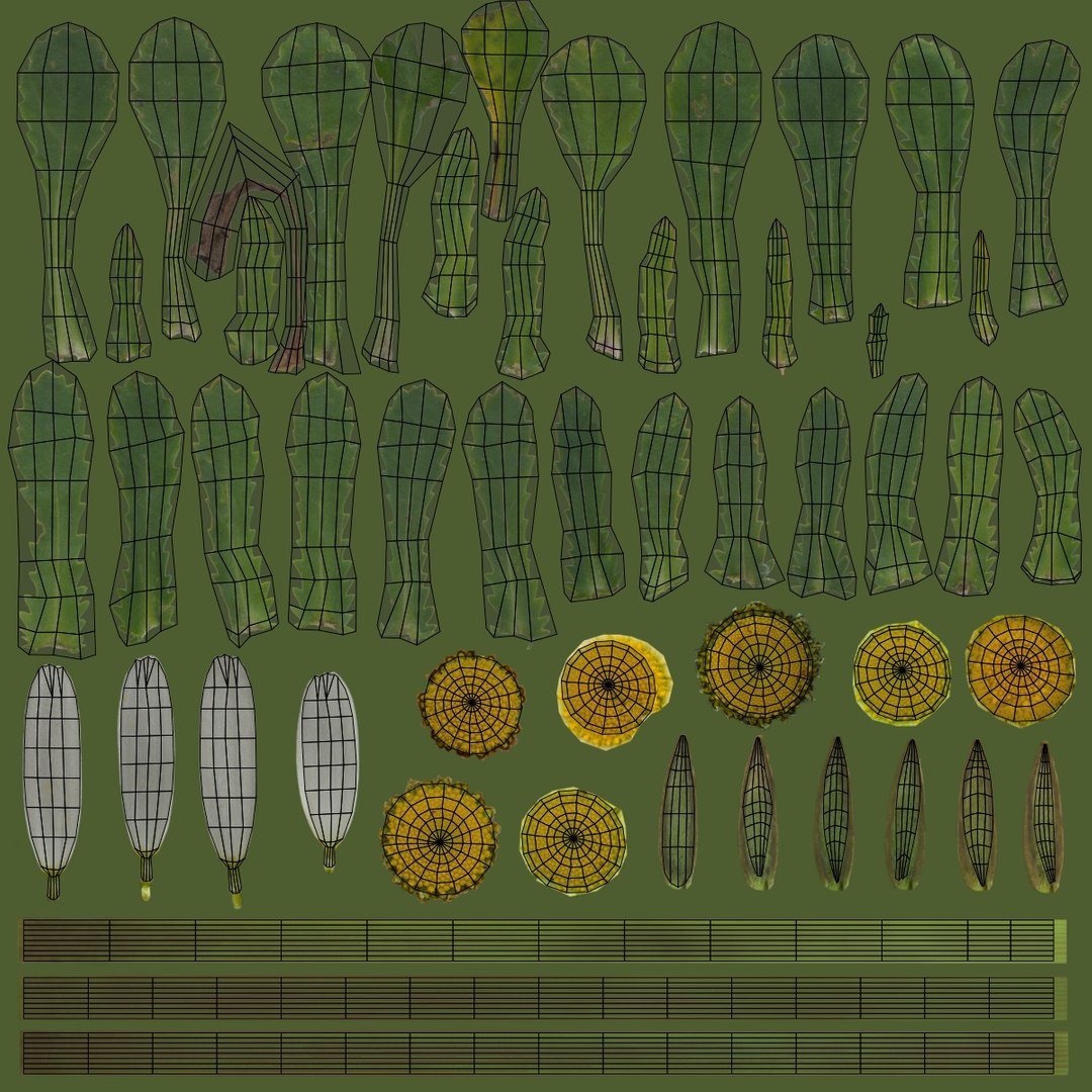 Daisy Model - TurboSquid 1925278