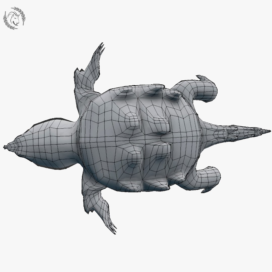 3D Alligator Snapping Turtle - TurboSquid 1210871