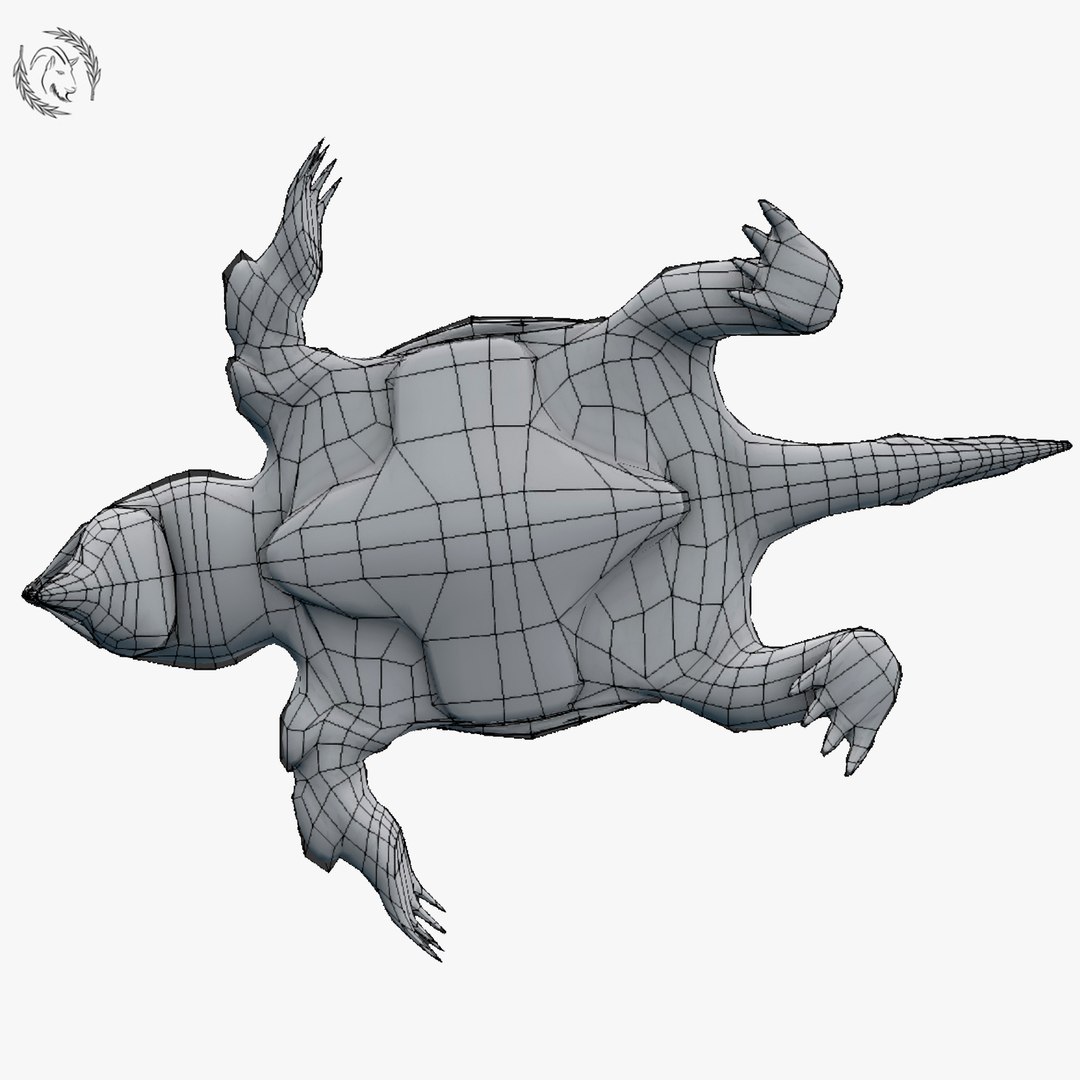 3D Alligator Snapping Turtle - TurboSquid 1210871