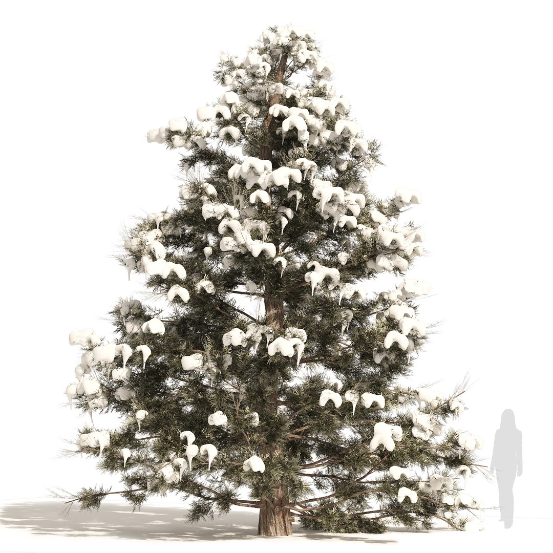3D Snow-Coated Winter Trees Collection - TurboSquid 2383844