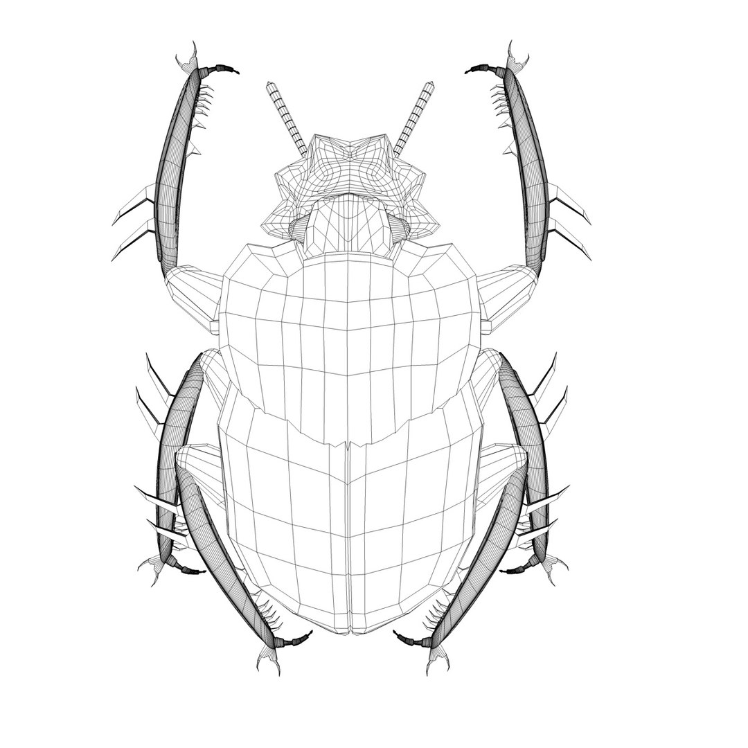 C4d Scarabaeus Included