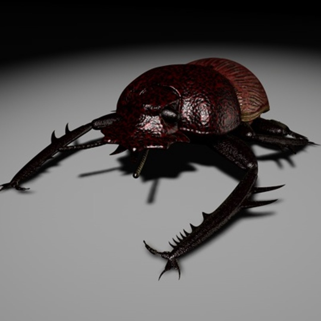C4d Scarabaeus Included