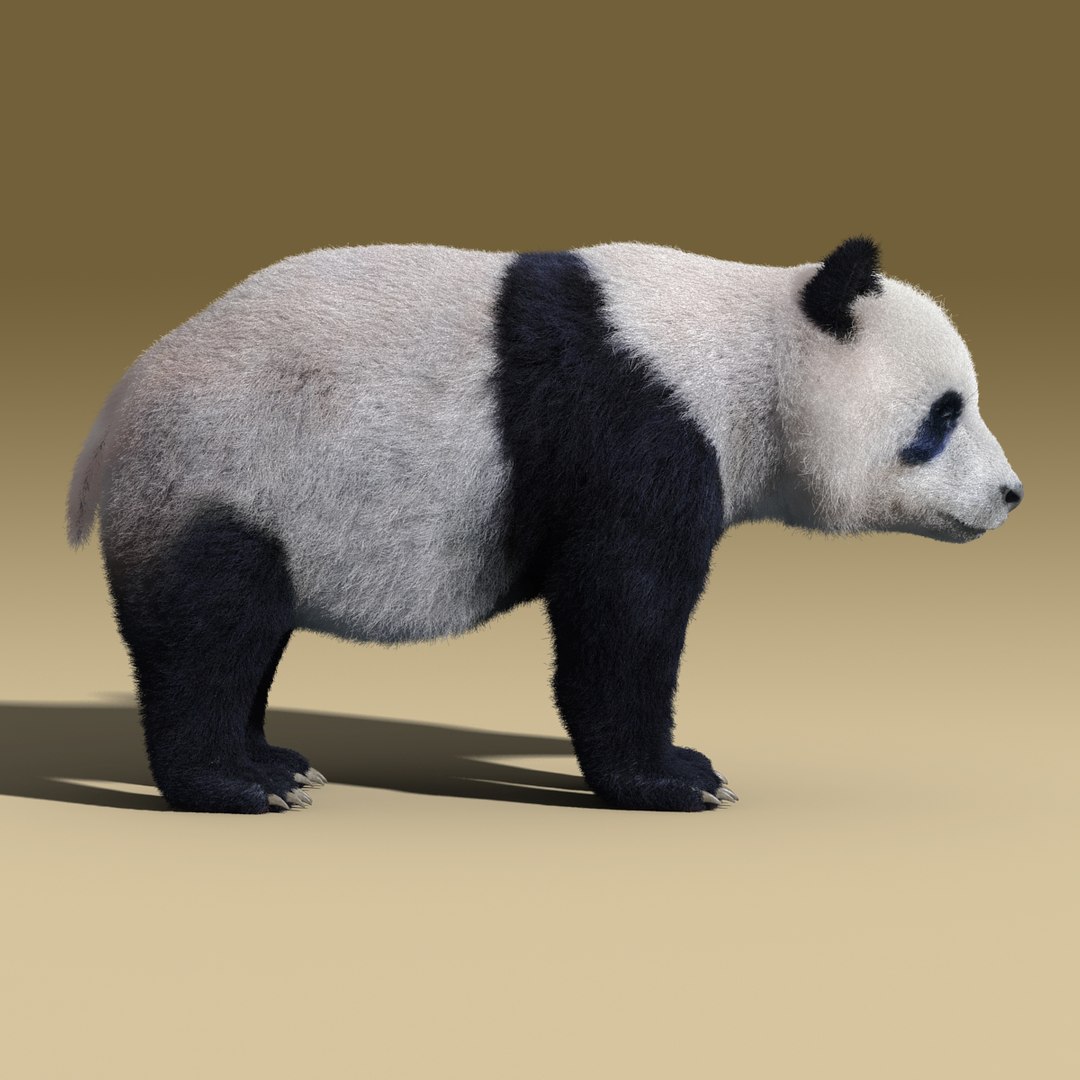 max panda bear fur
