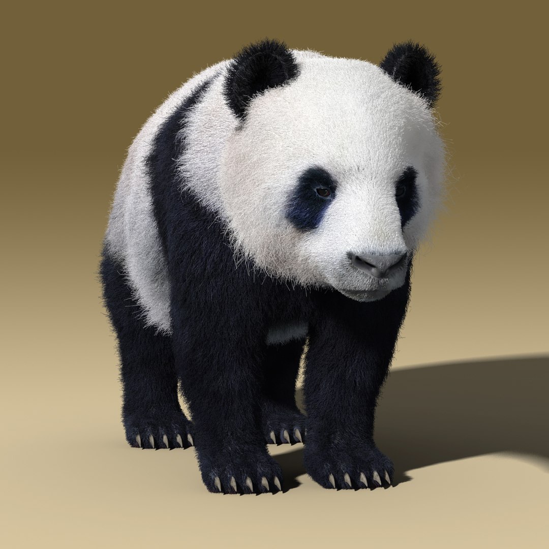 max panda bear fur