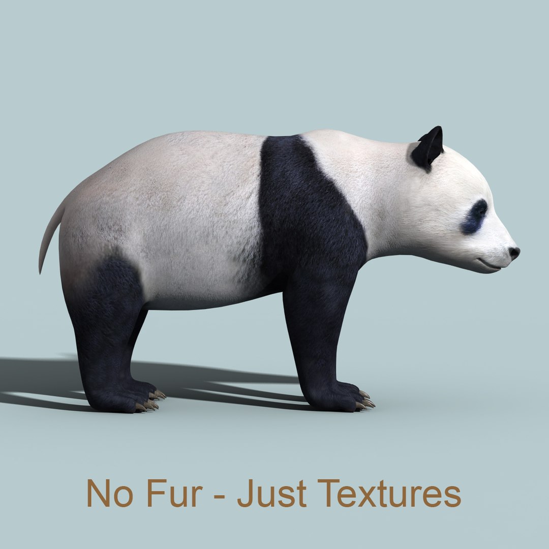 max panda bear fur