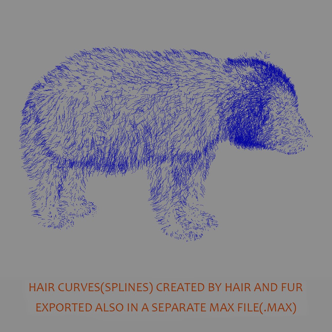 max panda bear fur