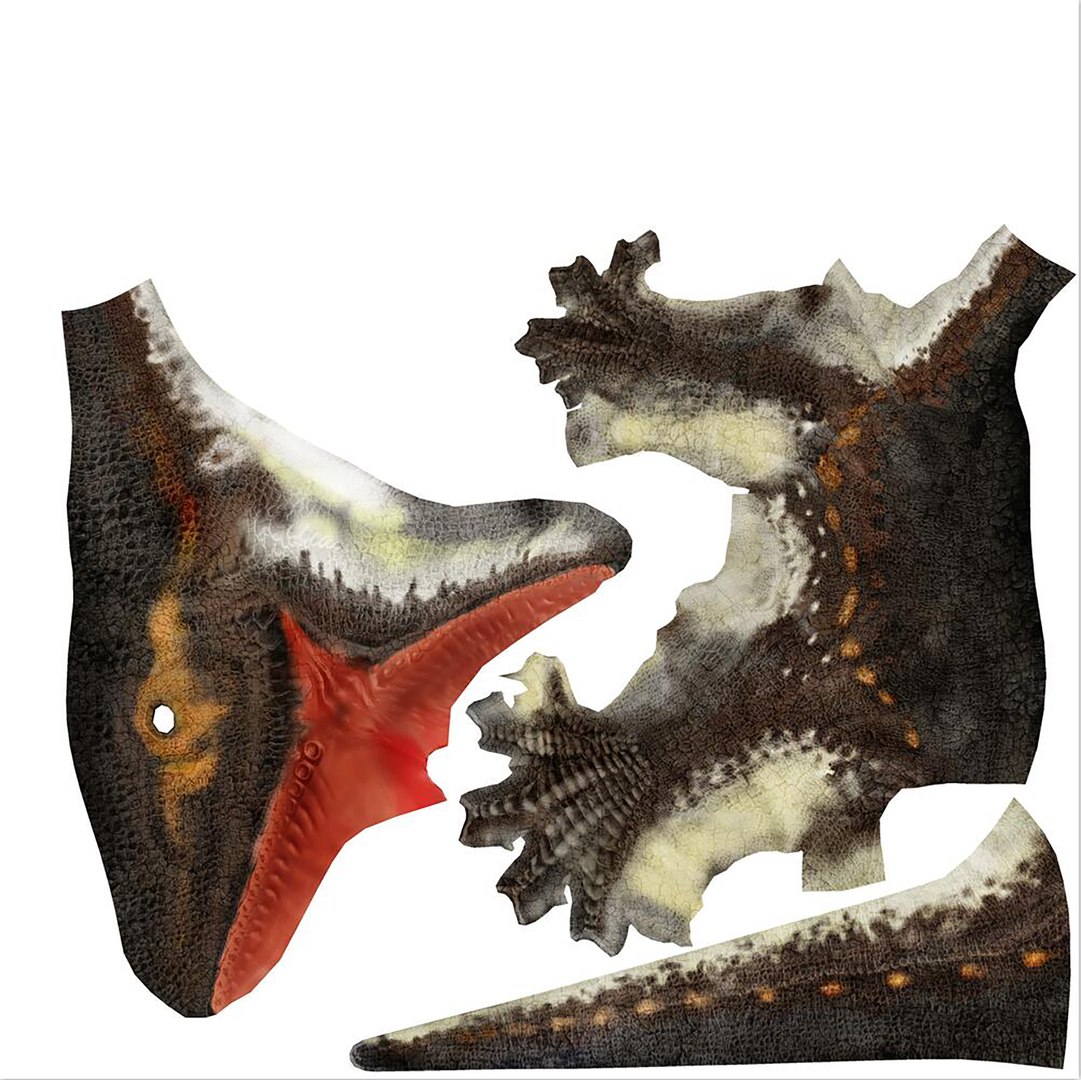 3D Melanorosaurus Dinosaur Triassic Animal - TurboSquid 2332529