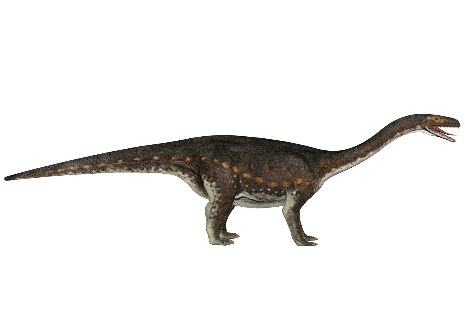 3D Melanorosaurus Dinosaur Triassic Animal - TurboSquid 2332529