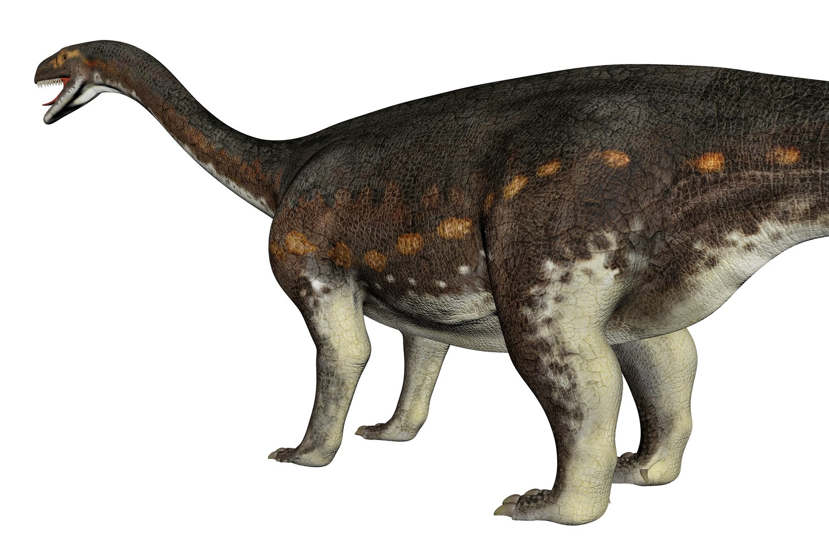 3D Melanorosaurus Dinosaur Triassic Animal - TurboSquid 2332529