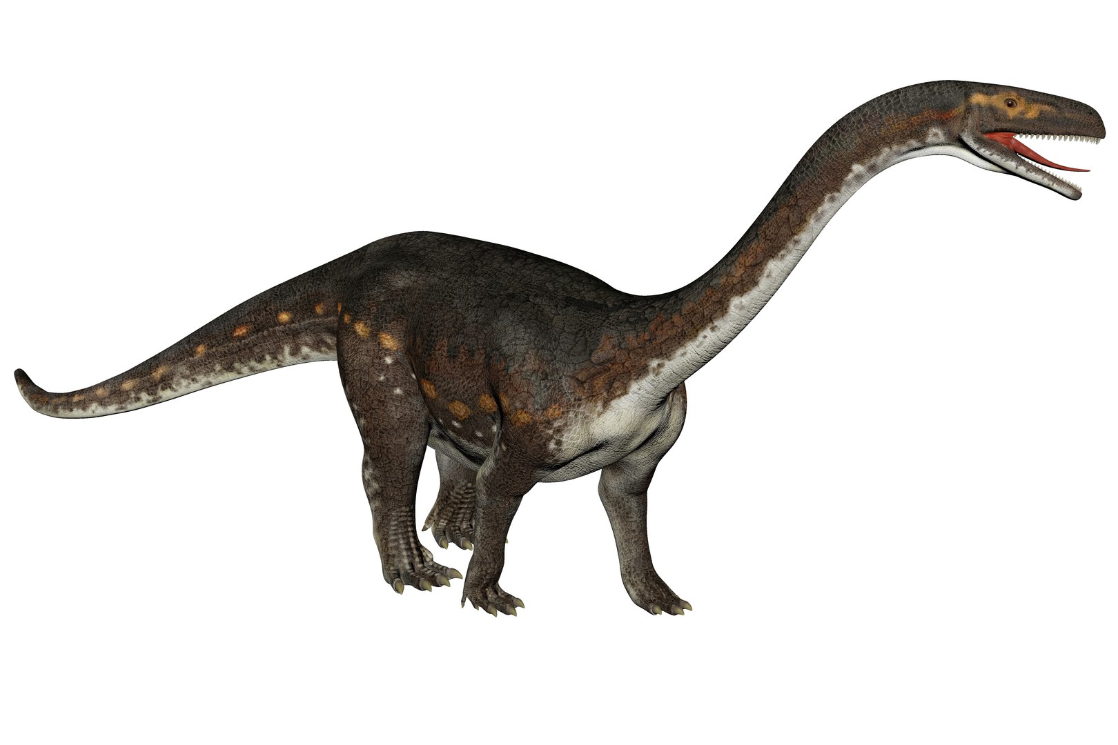 3D Melanorosaurus Dinosaur Triassic Animal - TurboSquid 2332529