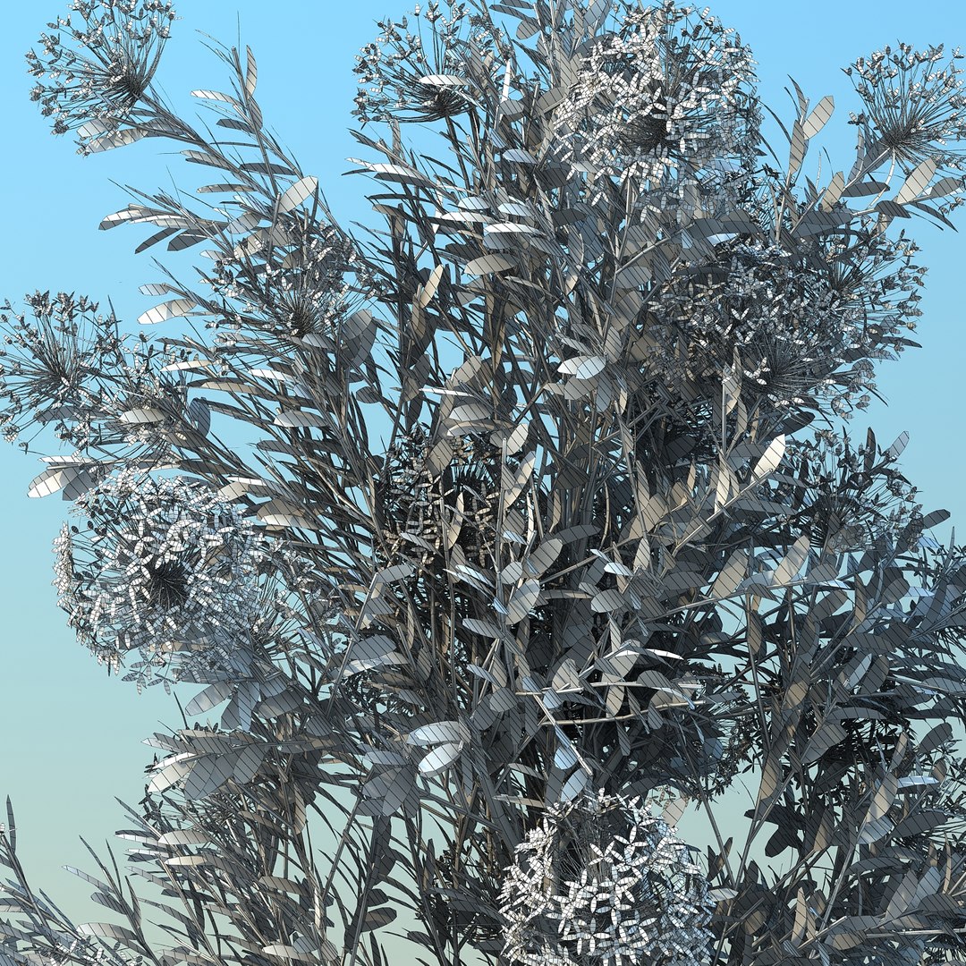 3d 2 Tree Scatter Model