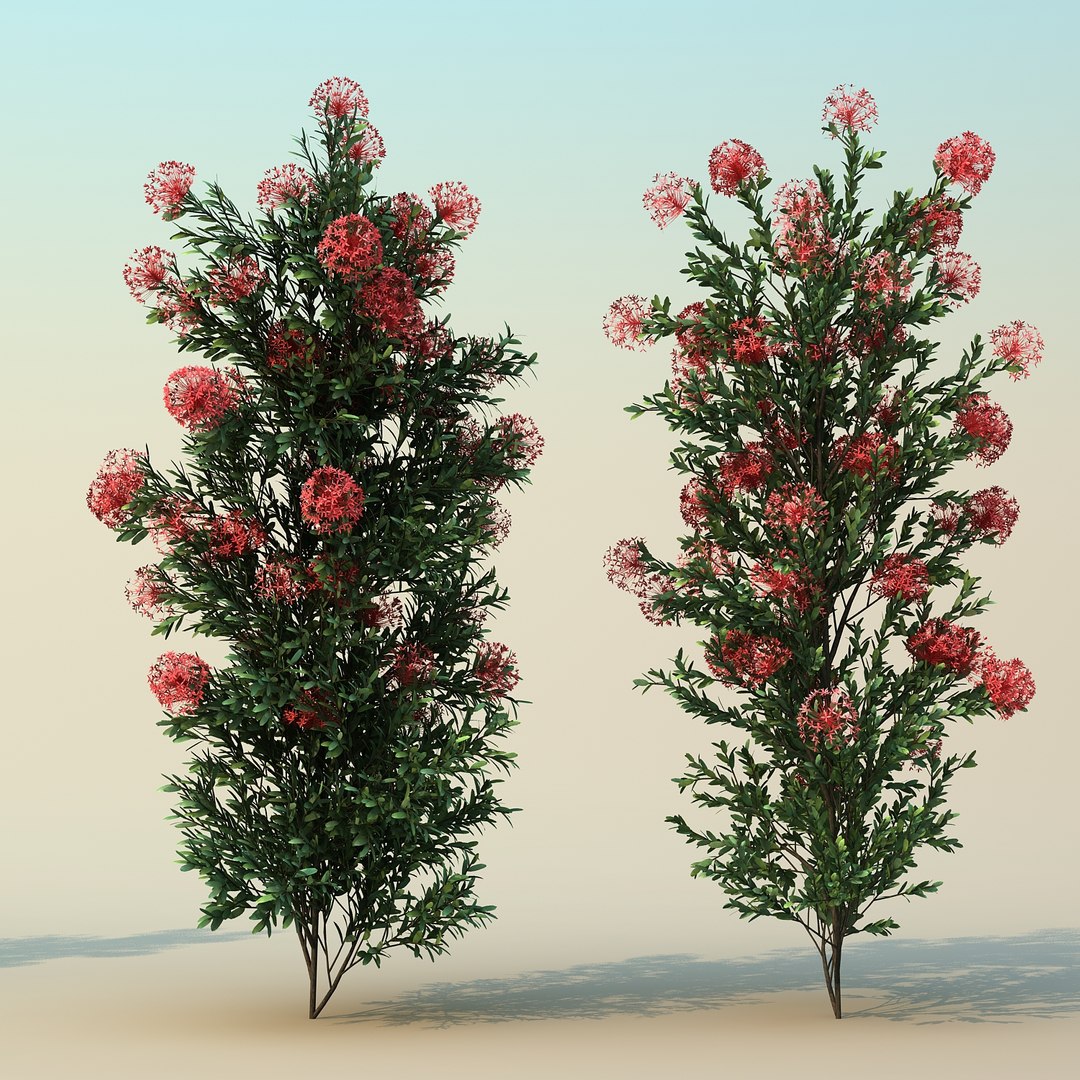 3d 2 Tree Scatter Model
