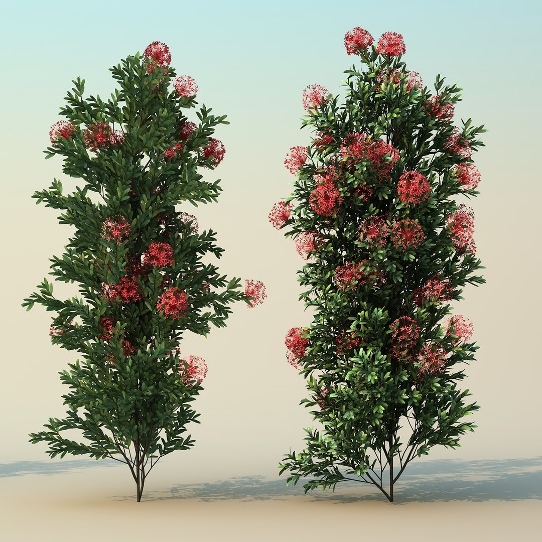 3d 2 Tree Scatter Model