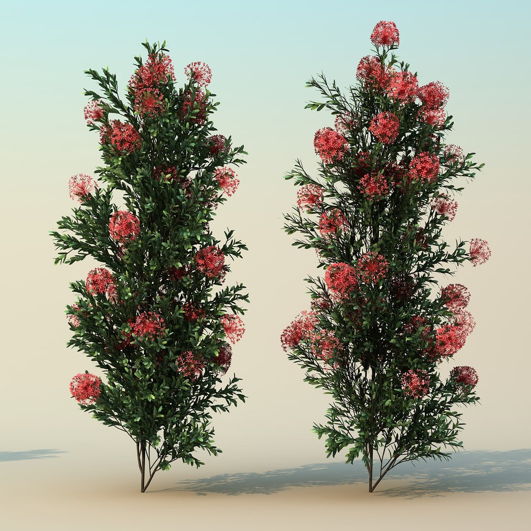 3d 2 Tree Scatter Model