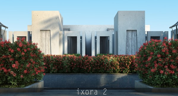 Petite Ixora 3D Models for Download | TurboSquid