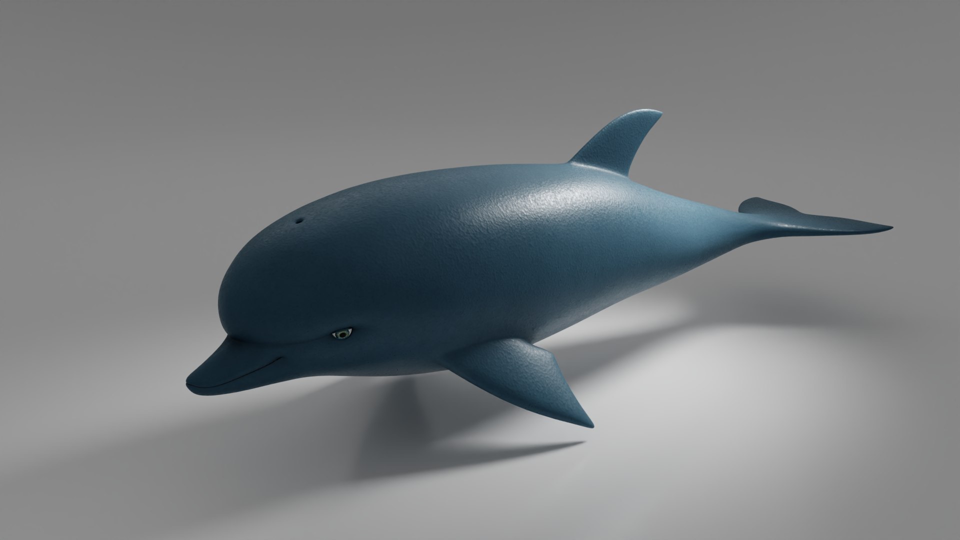Dolphin Model - TurboSquid 2246113
