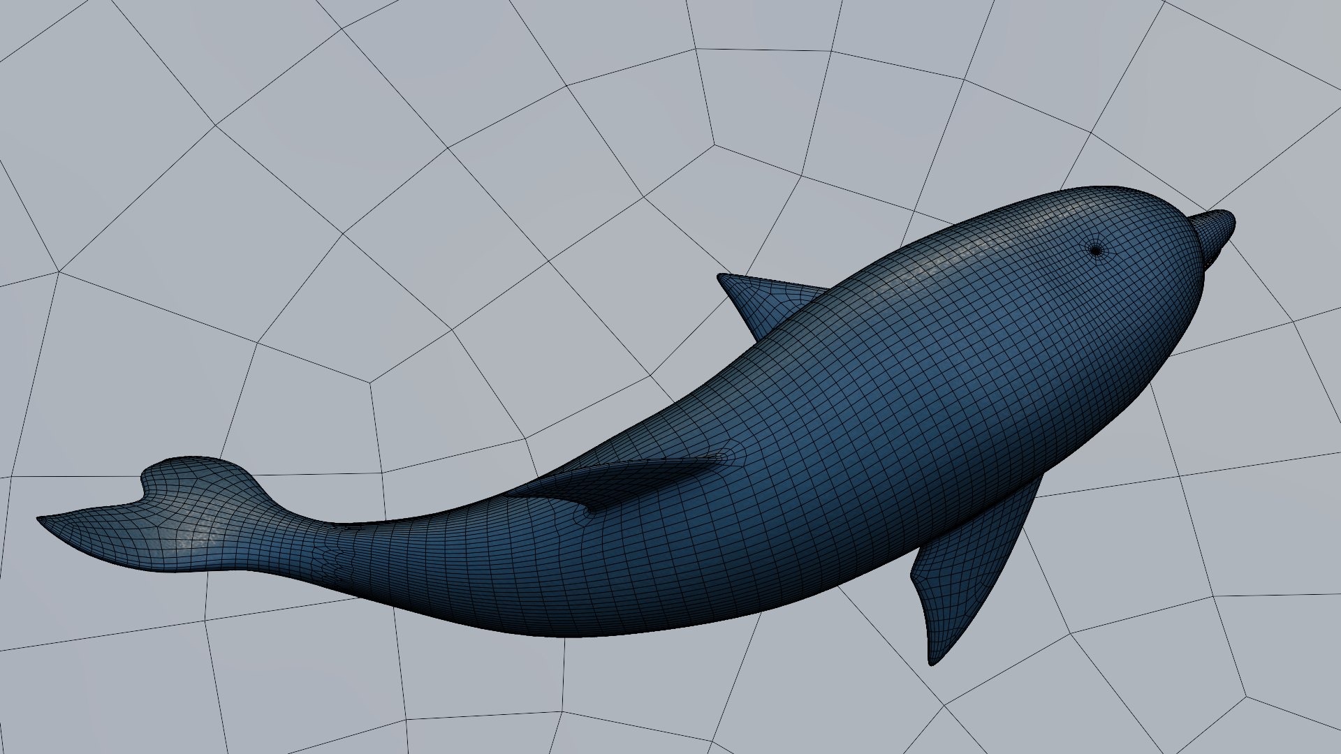 Dolphin Model - TurboSquid 2246113