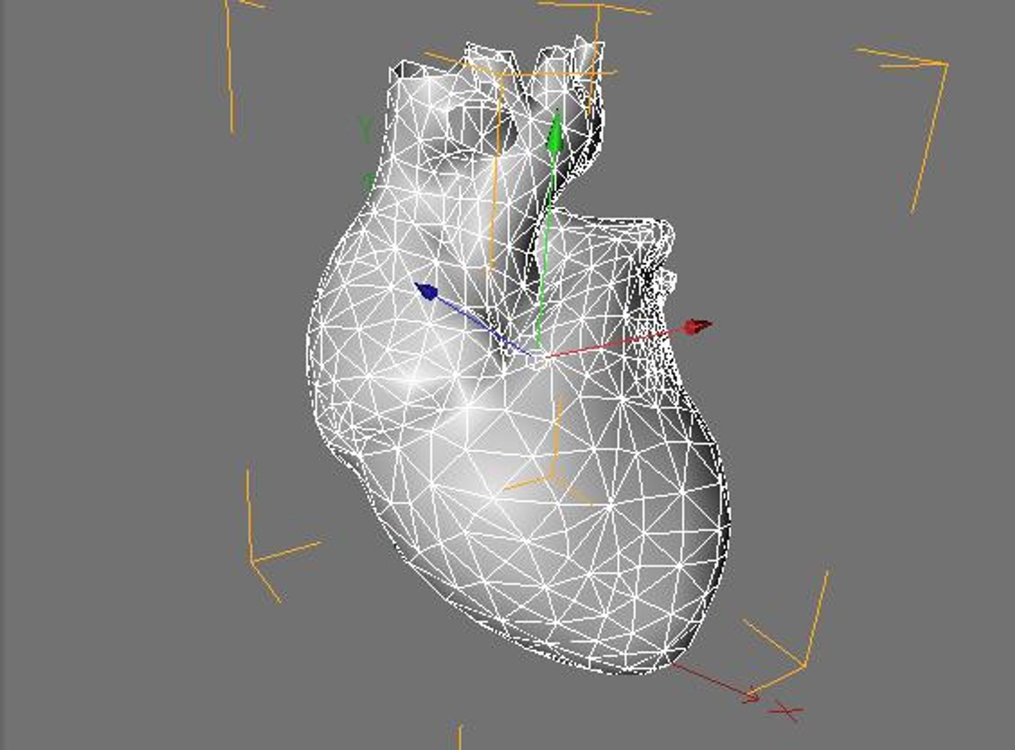 3d human heart