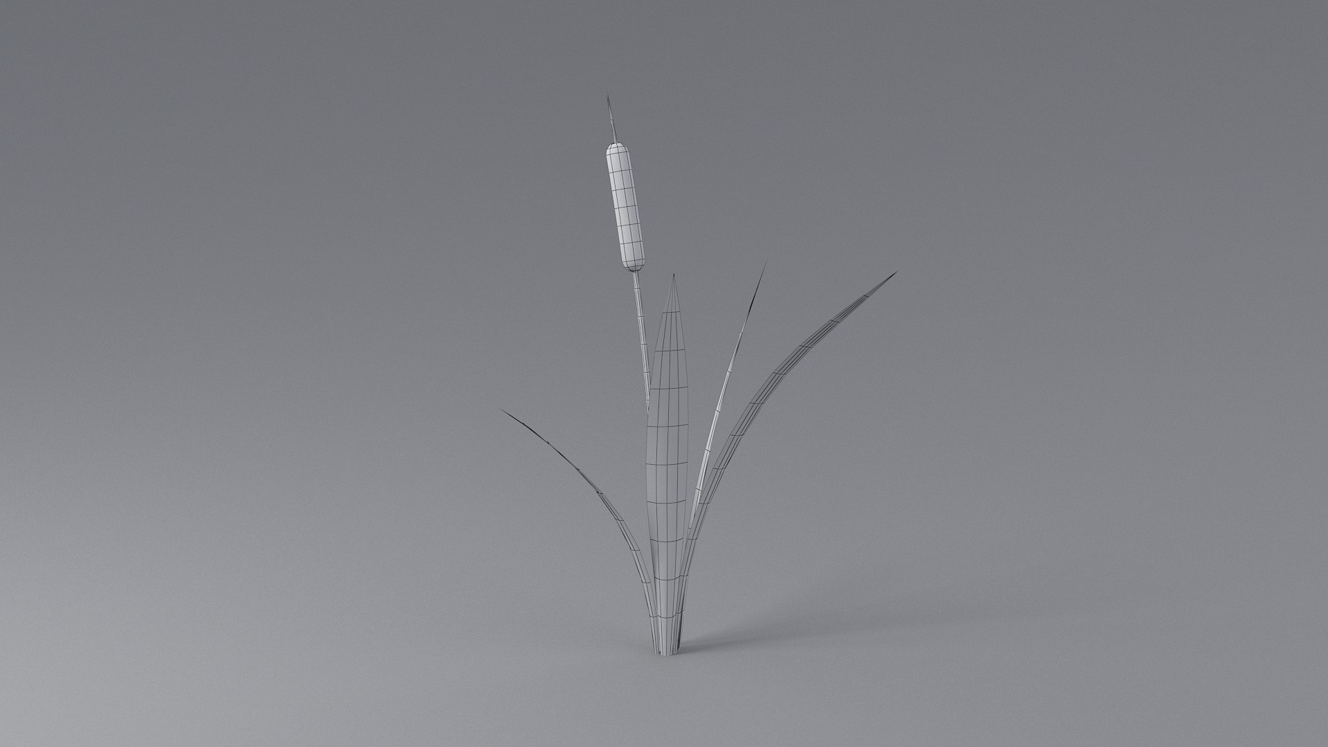 Cartoon Cattail 01 Model - TurboSquid 1936178