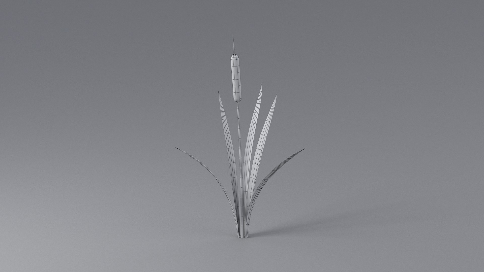 Cartoon Cattail 01 Model - TurboSquid 1936178