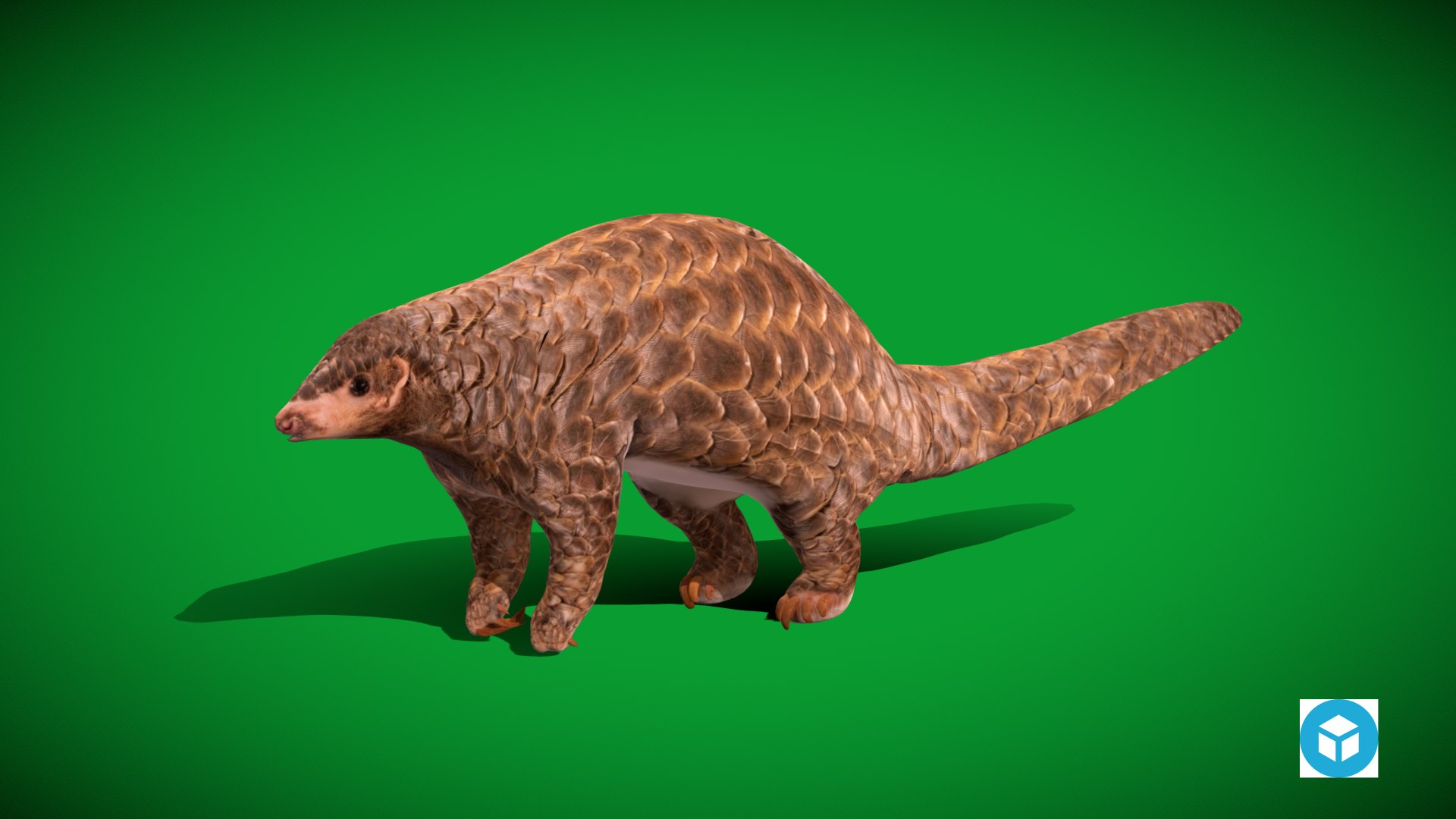 Pangolins 3D Model - TurboSquid 2348690
