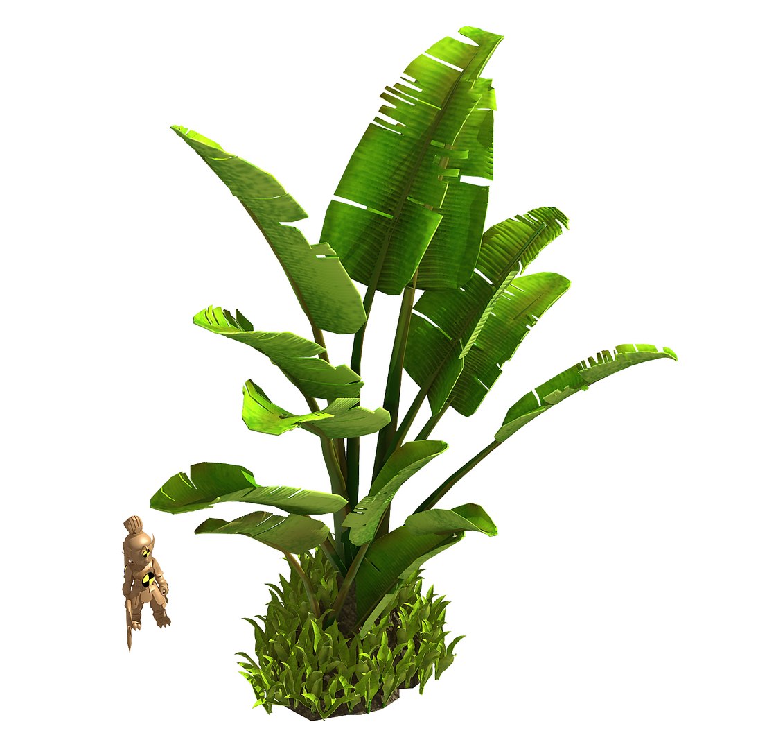 Large Leaf Plant - 3D Model - TurboSquid 1448468