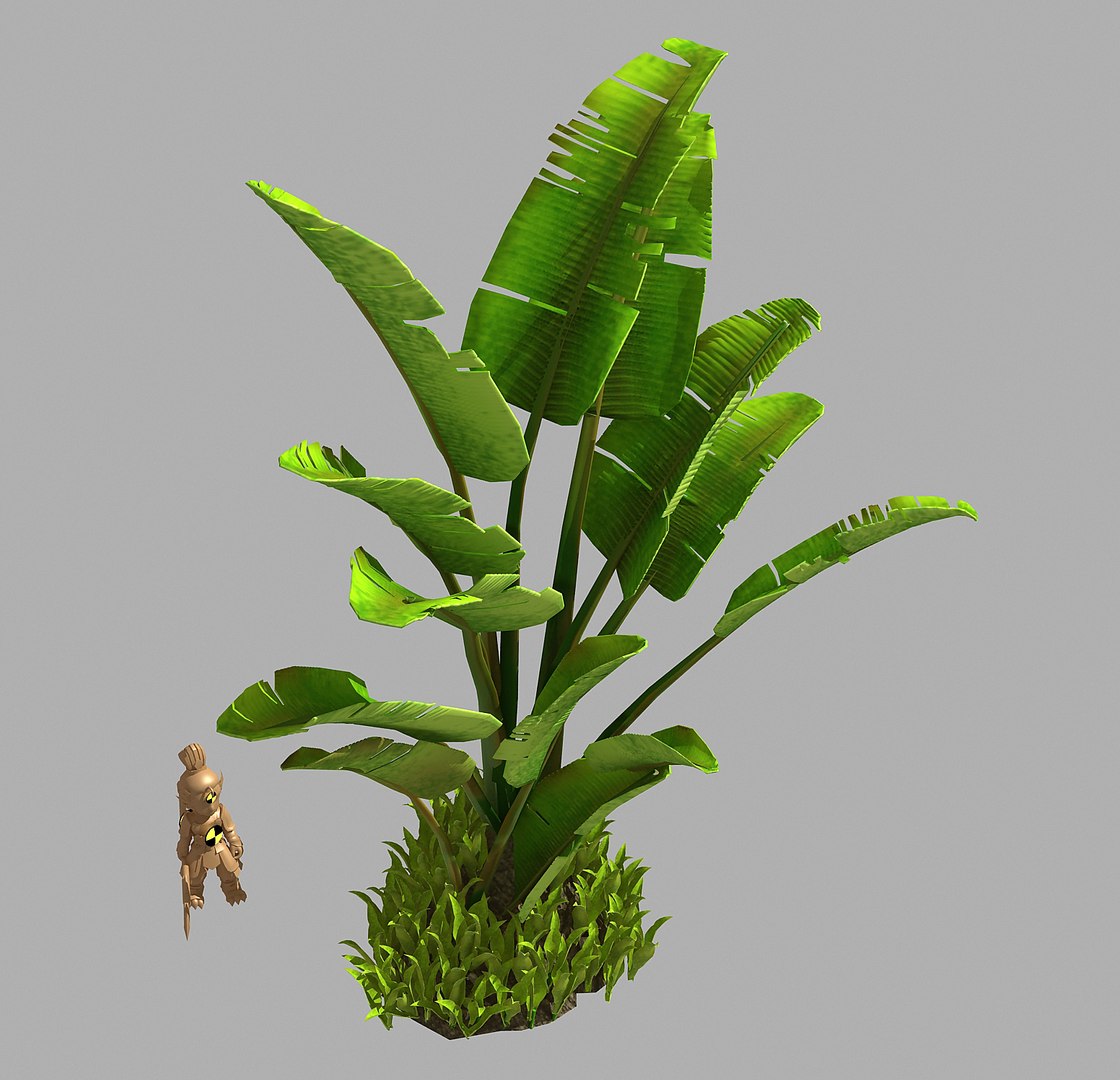 Large Leaf Plant - 3D Model - TurboSquid 1448468