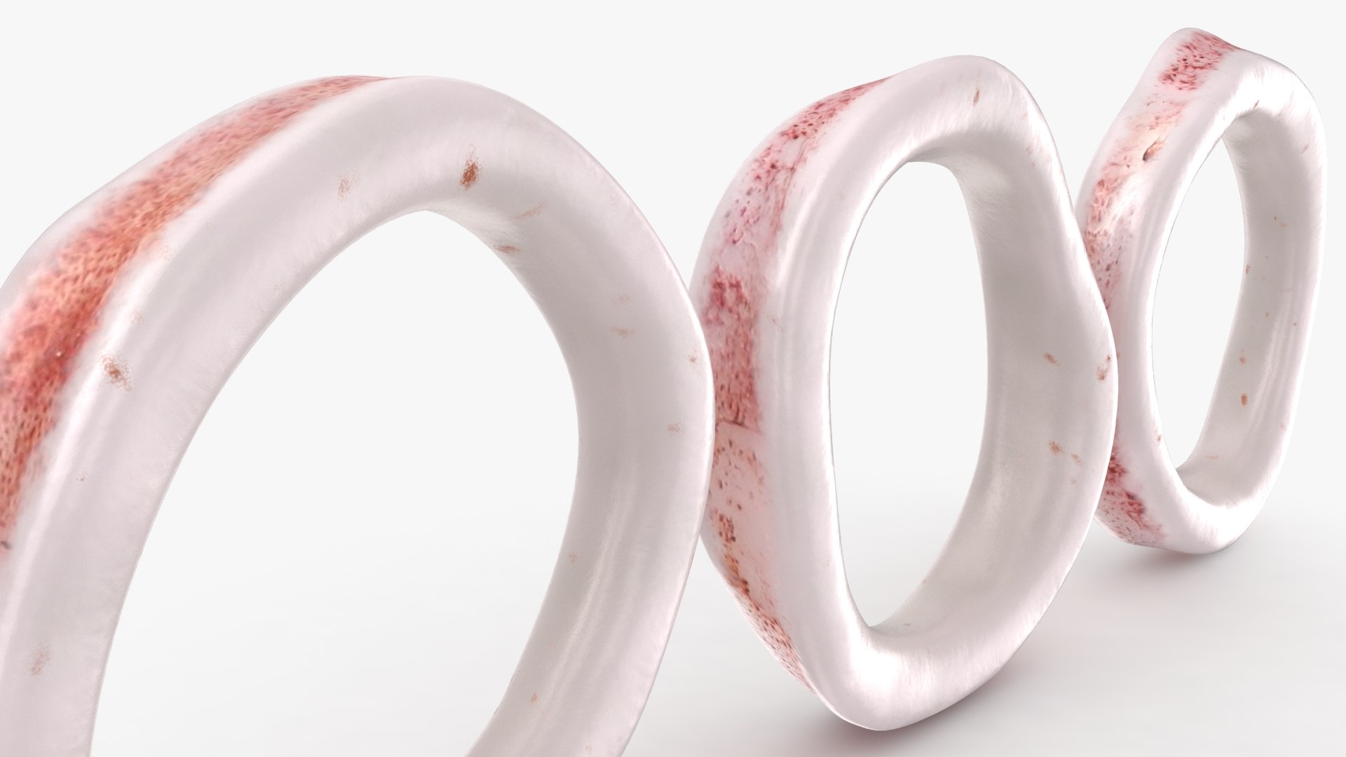 3D Squid Ring Skin - TurboSquid 2079791