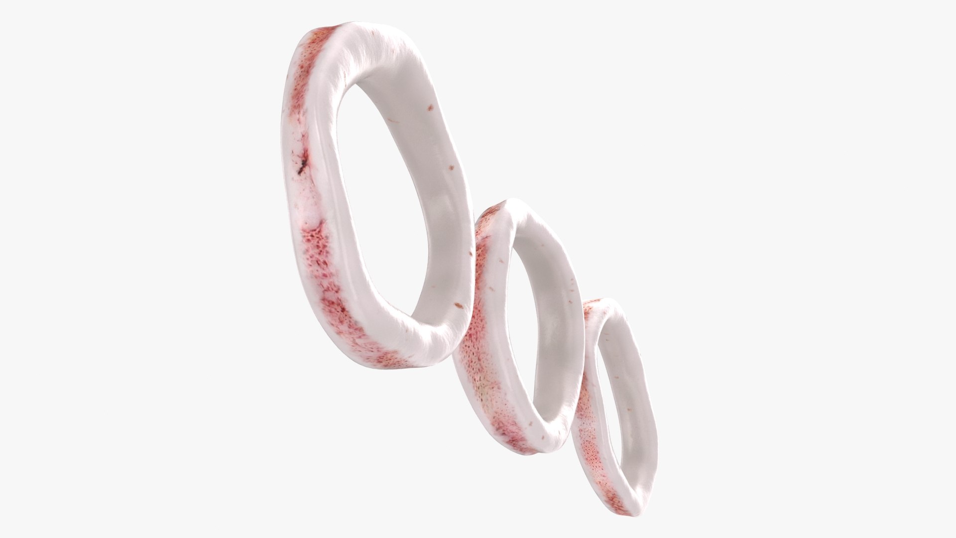 3D Squid Ring Skin - TurboSquid 2079791