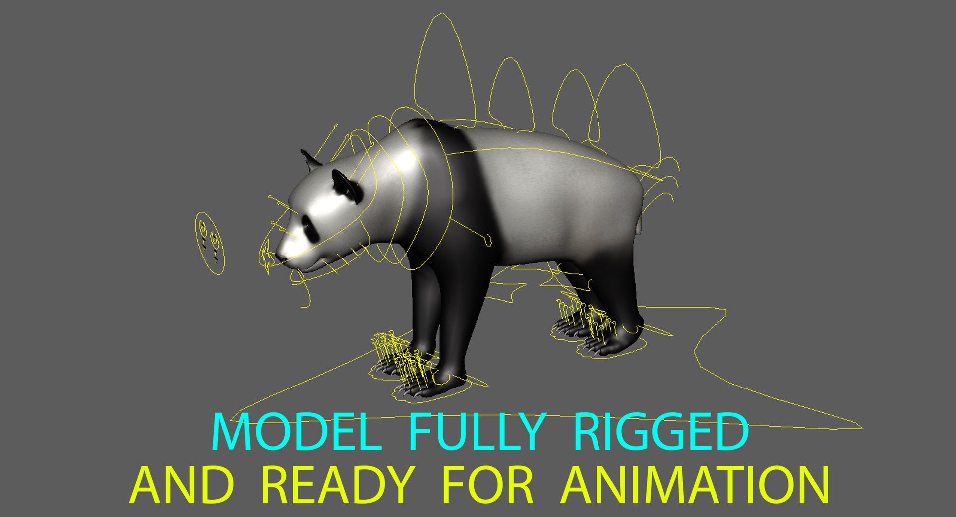 Giant Panda Animation 3d Model