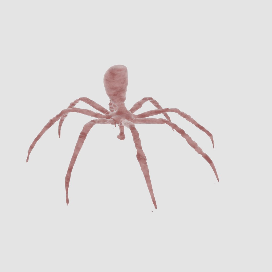 Dangerous Strange Spider 3d Model Fully Detailed And Rigged 3D Model ...