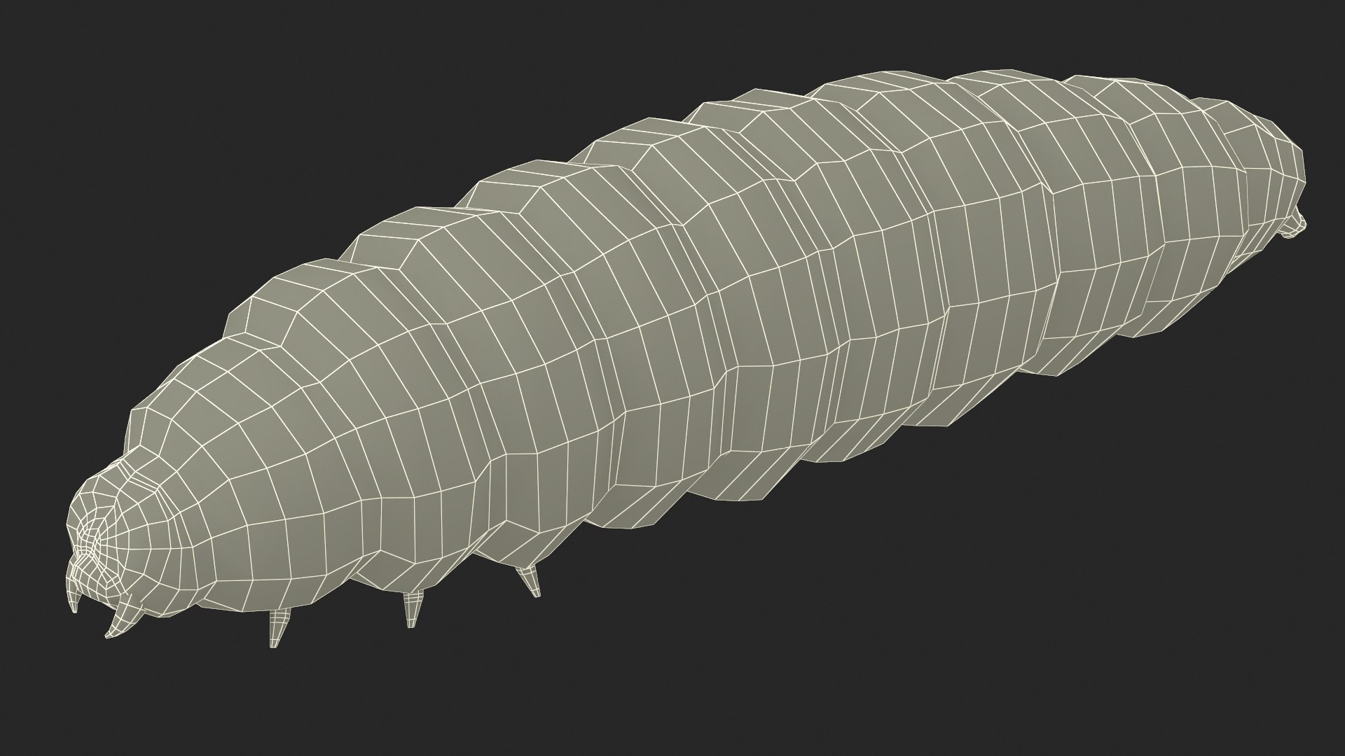 Maggot Fly Fur Model - TurboSquid 2165089