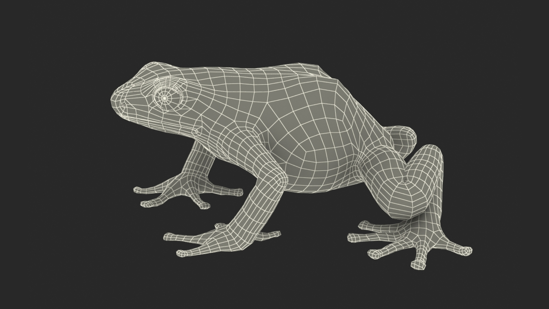 Realistic Poison Dart Frog Rigged For Maya 3D Model - TurboSquid 2342400