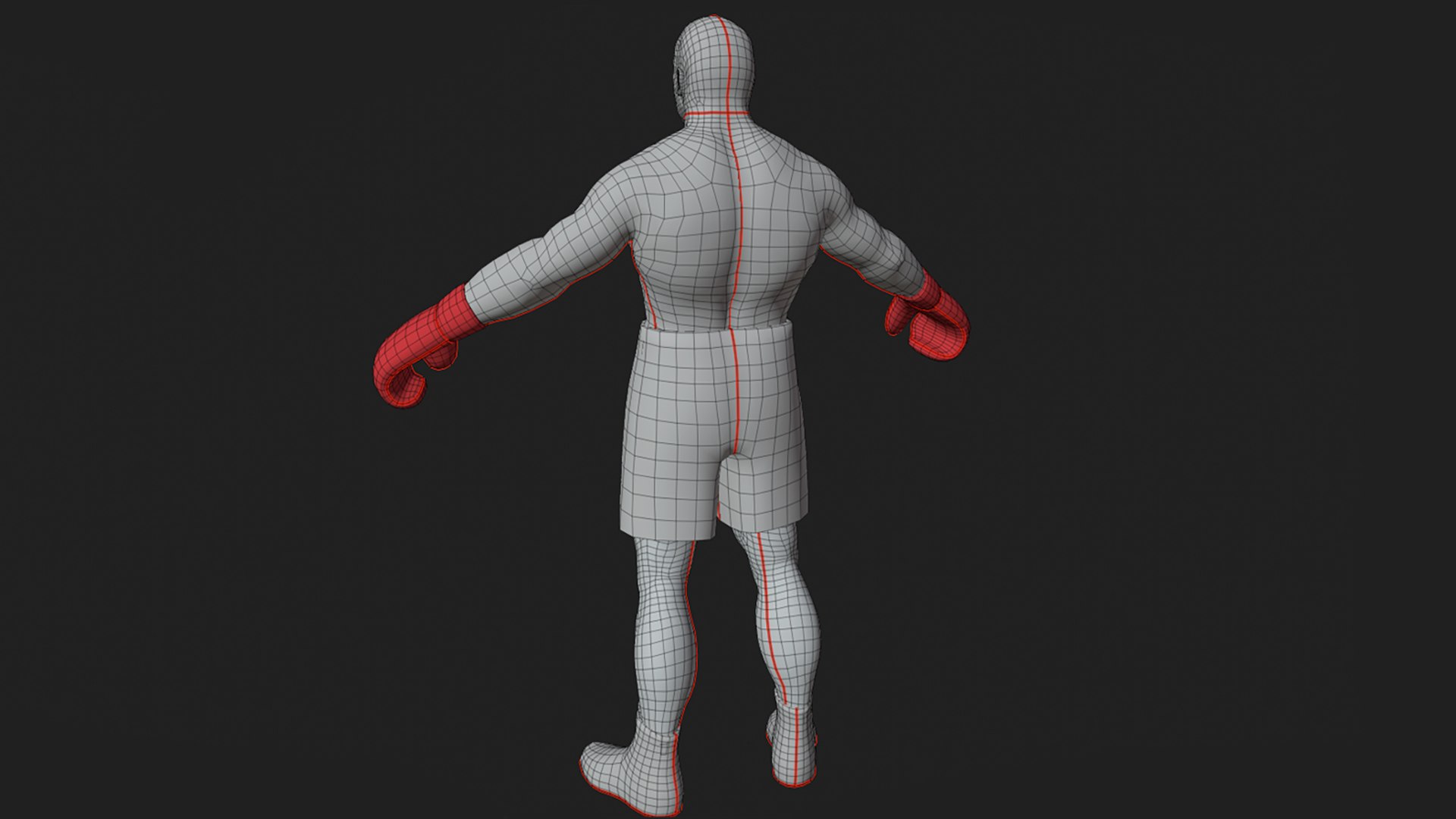 3D Boxer Boxing Model - TurboSquid 1560698