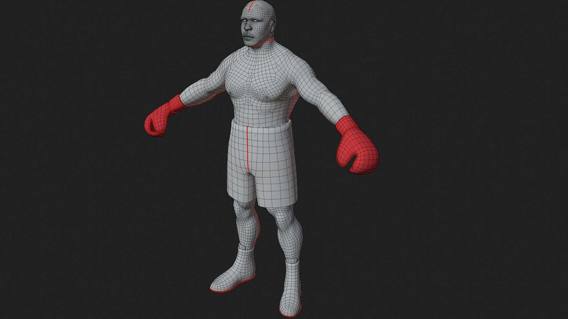 3D Boxer Boxing Model - TurboSquid 1560698
