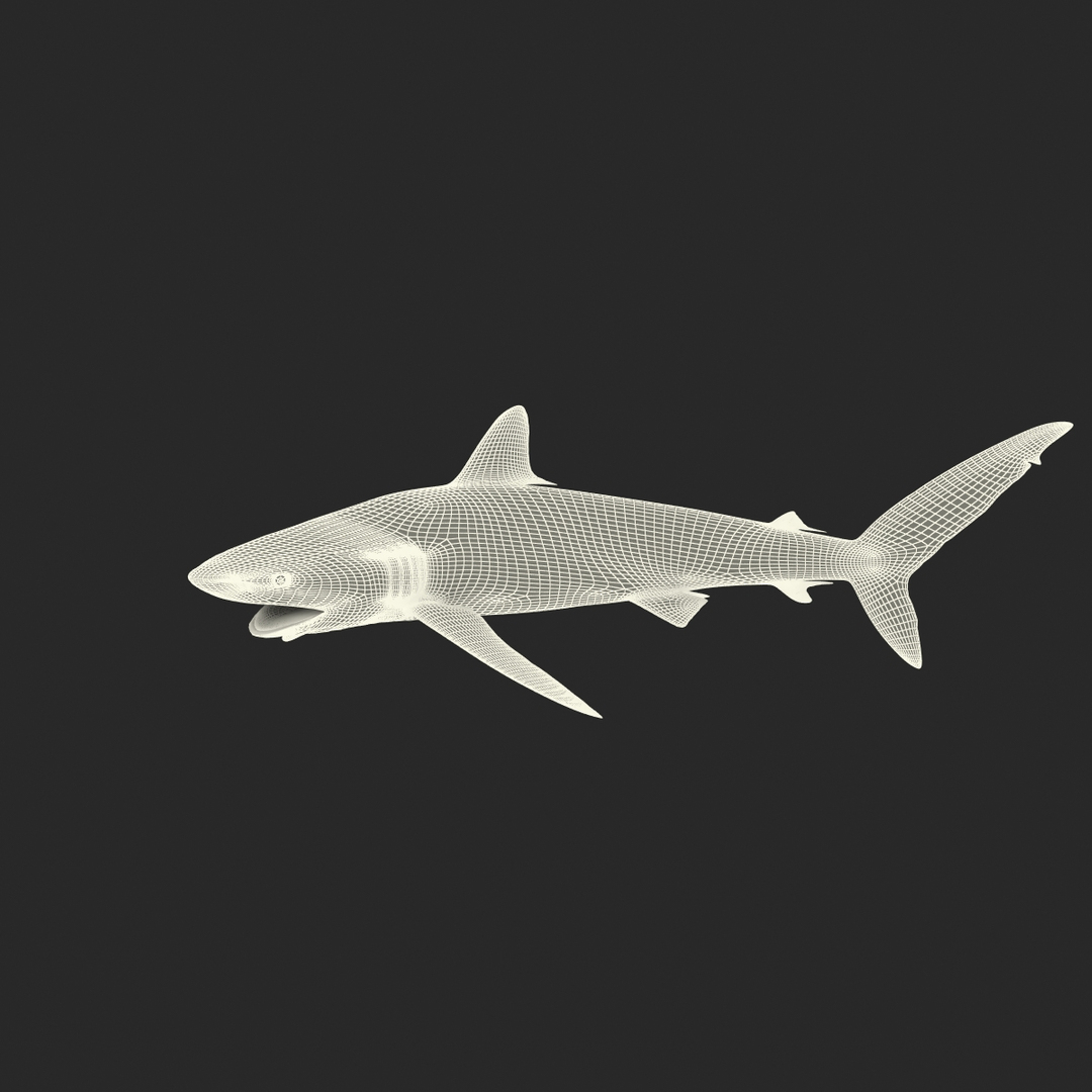 Silky Shark Pose 2 3d 3ds