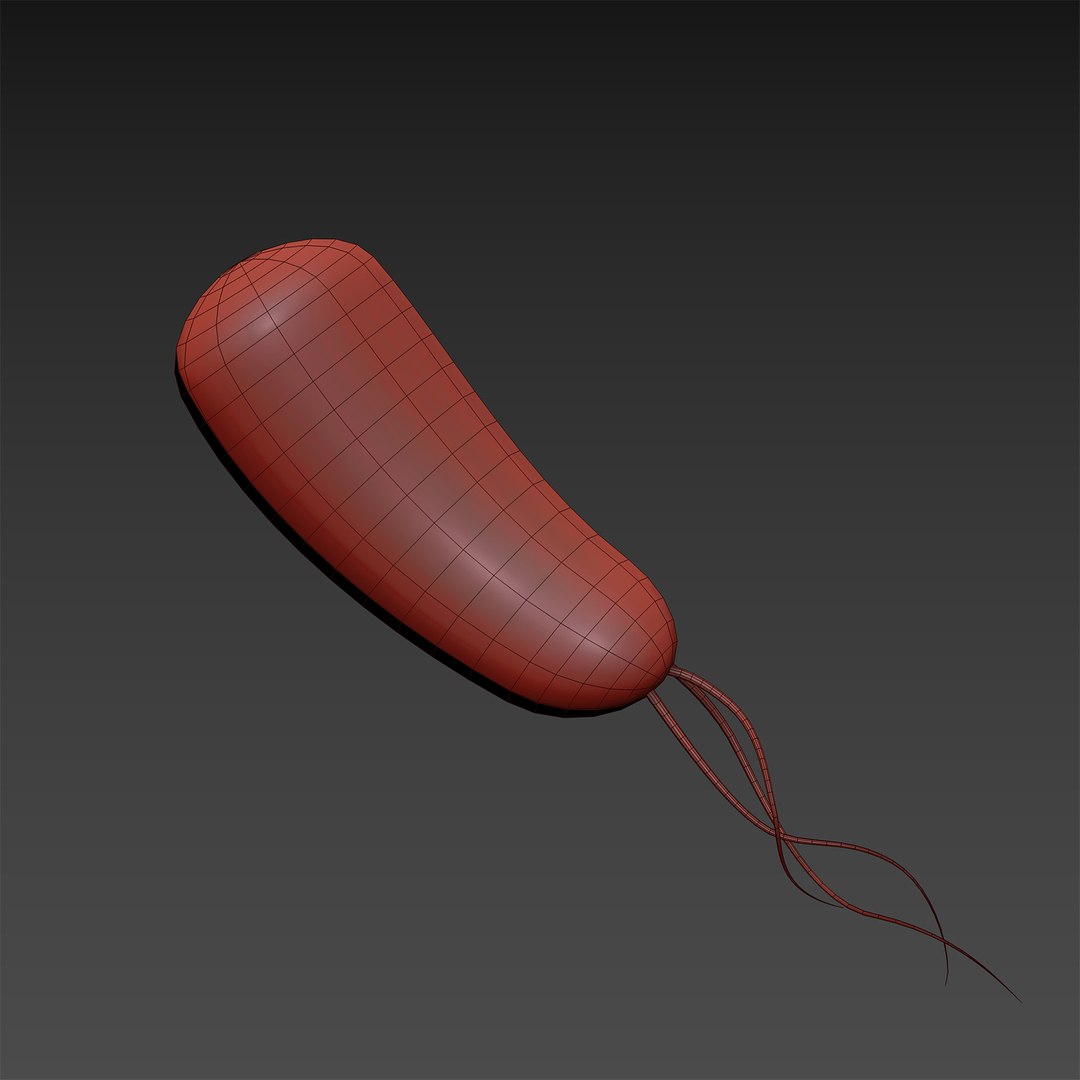 3D Microbes Bacteria Cells - TurboSquid 1626157