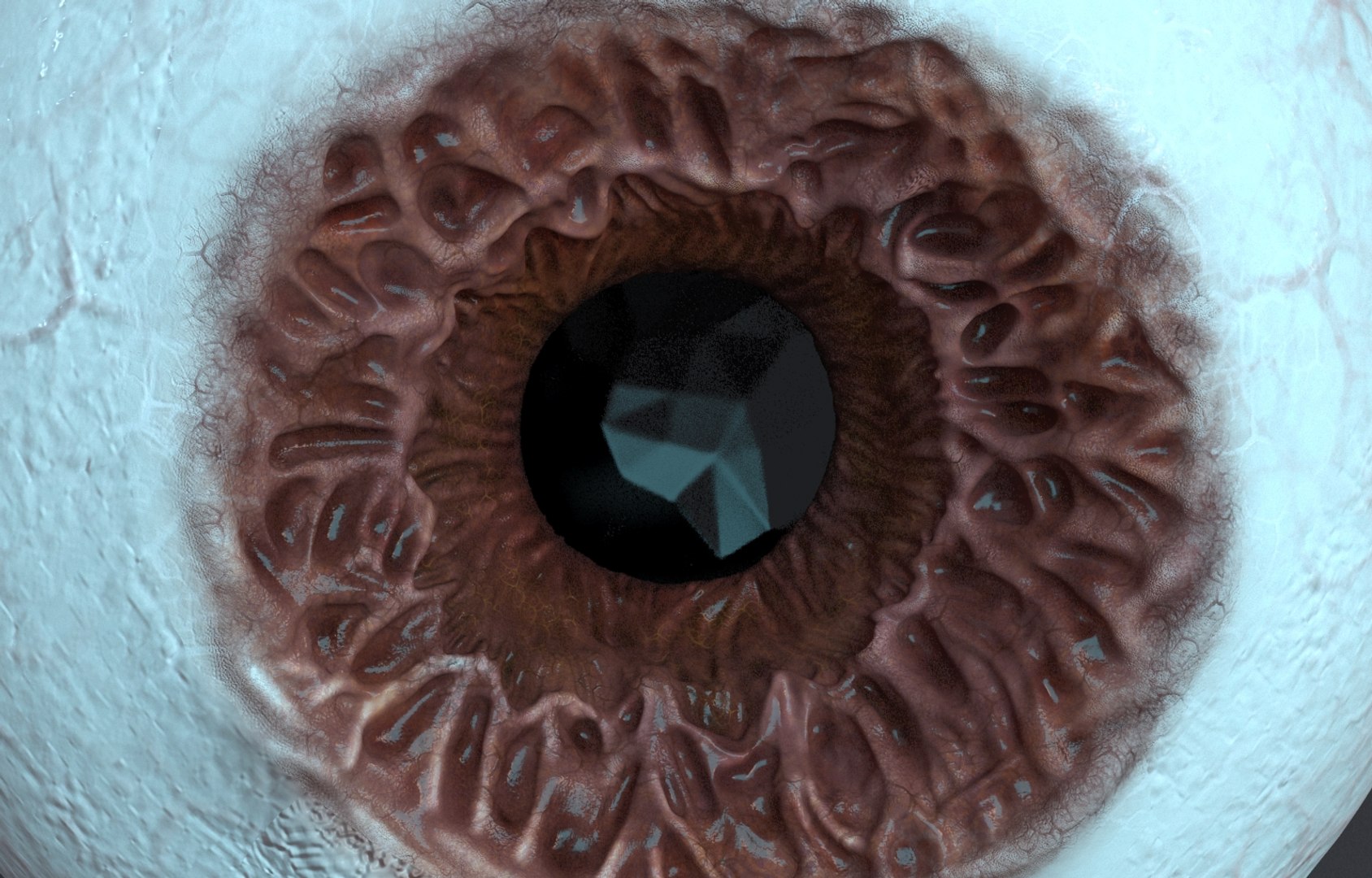 Eyeball Rendering Colors 3D - TurboSquid 1516557