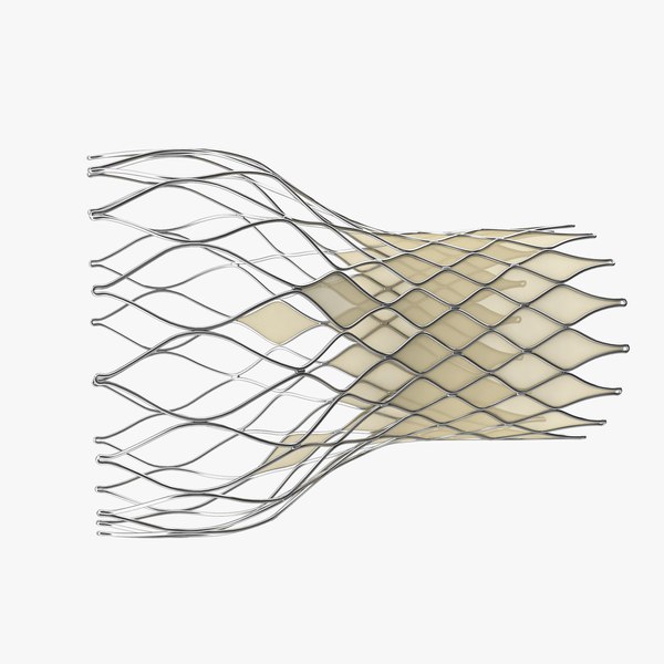 3D Catheter Models | TurboSquid