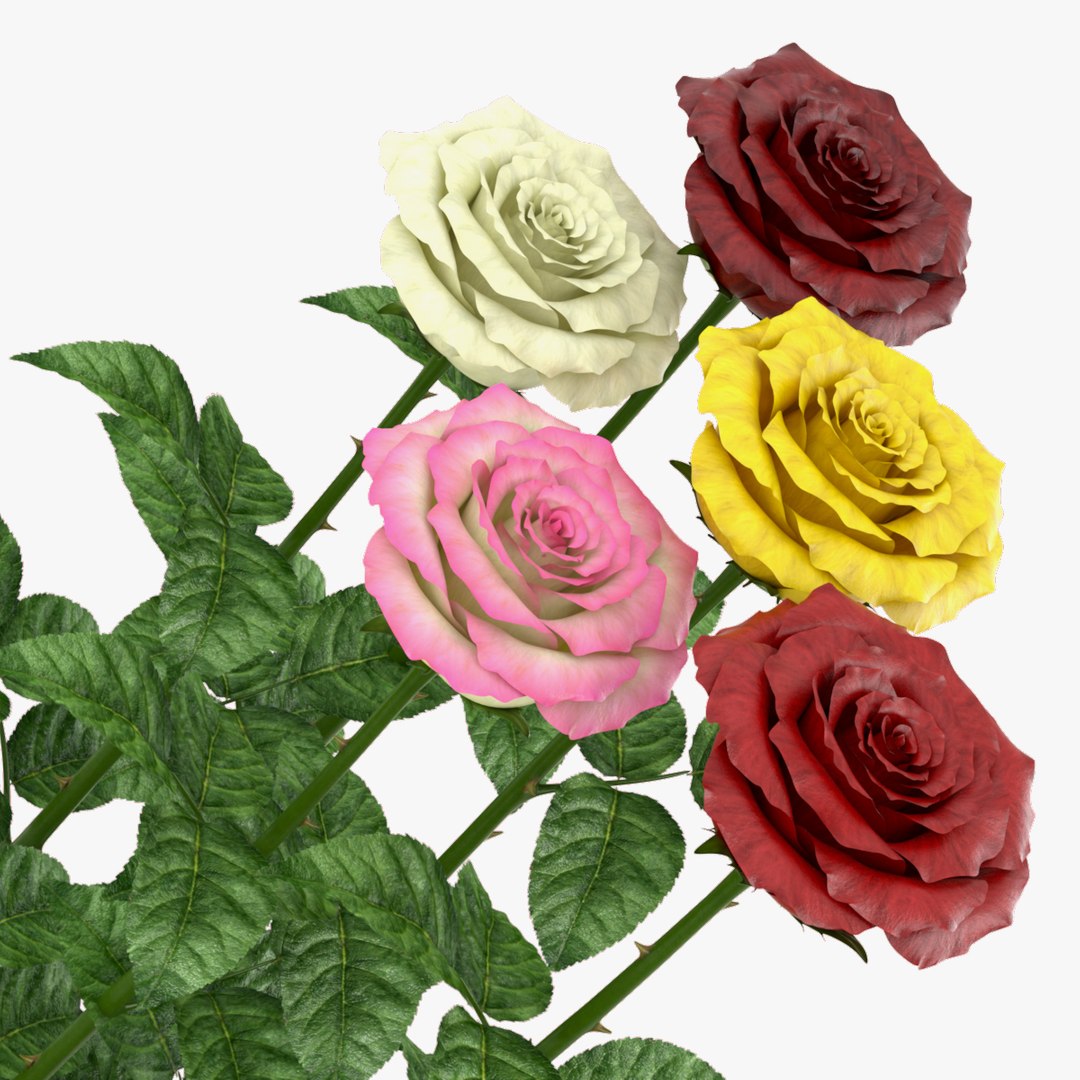 3D rose open - TurboSquid 1248501