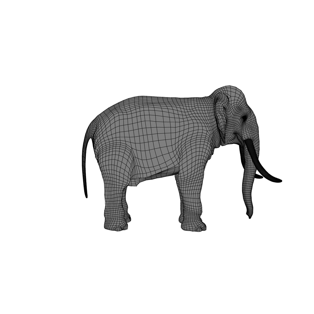 3d Obj Elephant 2
