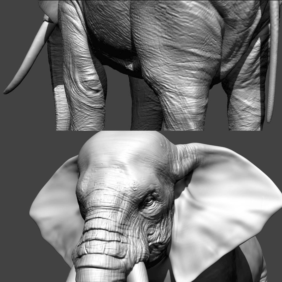 3d Obj Elephant 2