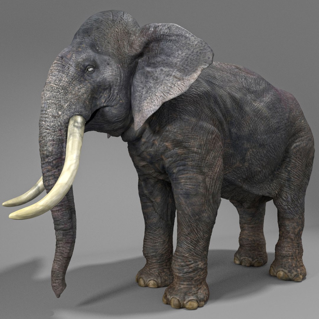 3d obj elephant 2
